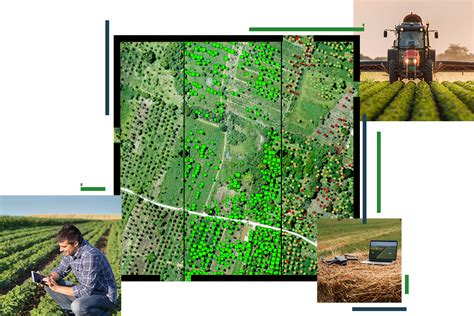 SIG para agricultura Agricultura de precisión y manejo de cultivos
