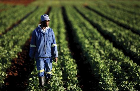 Côte dIvoire Une première puissance agricole exportatrice