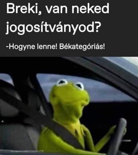 Pin di Völgyi Katalin su Gyorsmentések