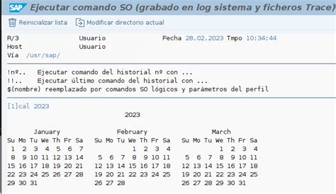 C Mo Ejecutar Comandos De Sistema Operativo Desde Sap Sapmin