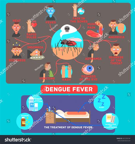 Dengue Fever Infographics Flat Vector Illustration Poster The Symptoms