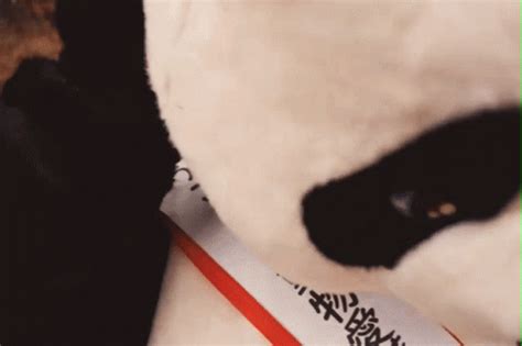Yumi Adachi Panda Yumi Adachi Panda Costume Discover Share GIFs