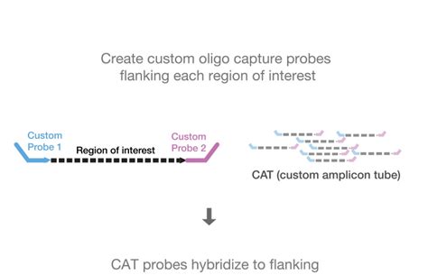 amplicon sequencing solutions
