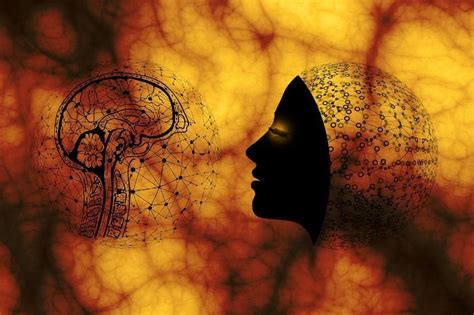 The Science Behind Brain Neurons And How They Function