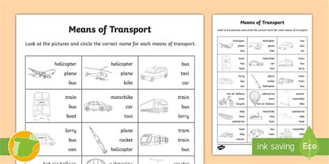 A2 Ficha de actividad Elige el medio de transporte correcto Inglés