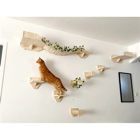 Parc Wood Chat Parcours Mural En Bois Pour Chat