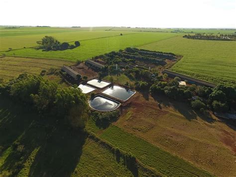 Fazenda A Venda Em Mato Grosso Do Sul Fazendas Mato Grosso