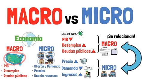 Diferencia Entre Macroeconom A Y Microeconom A Explicada Para