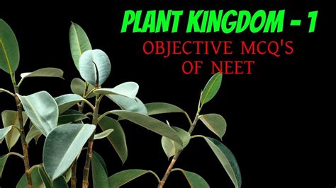 Biology Objective MCQ S Of NEET Plant Kingdom PART 1 MCQs By
