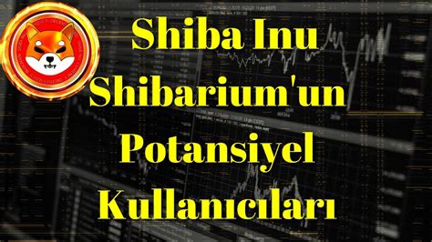 Kripto Sesli Haber Shiba Inu Baş Geliştirici Shibarium un Potansiyel