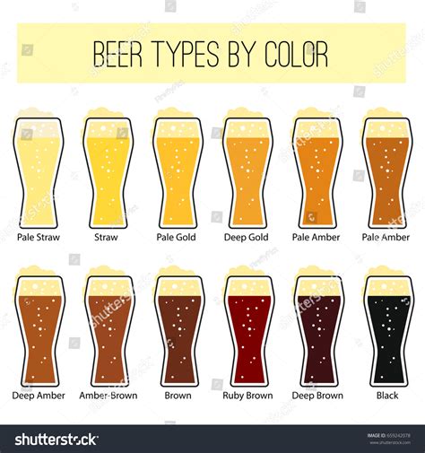 Infographic About Beer Types Color Beer Stock Vector Royalty Free