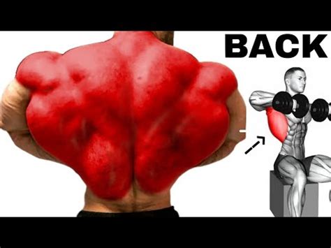 Best Science Based Full Back Workout For Growth YouTube