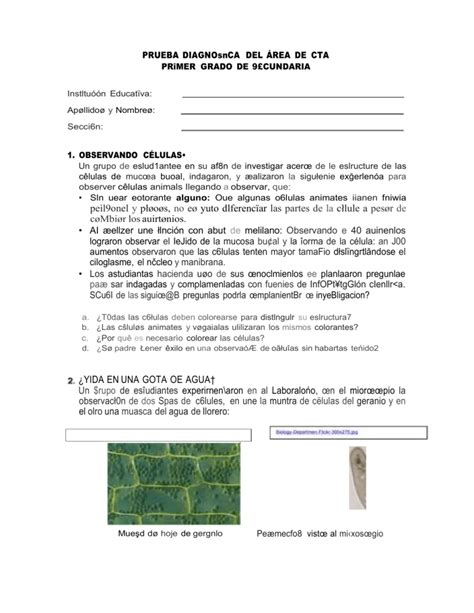 Evaluacin Diagnstica Cta 1