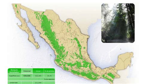 Distribución de las regiones naturales de México Nueva Escuela