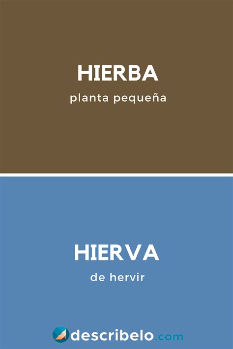 Hierba o hierva Oraciones con hierba hierva yerba Ortografía