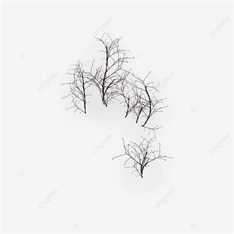 Tree Branch Branch Trunk Tree Png Transparent Image And Clipart For