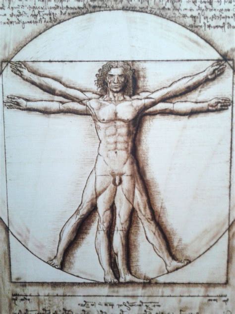 Leonardo Da Vinci Hombre De Vitruvio Cuadro Pir Artesanum