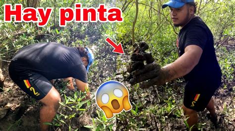 Hay Pinta De Punches Asi Los Atrapamos Pesca Elsalvador