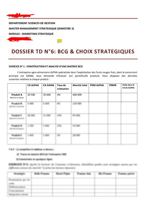 Solution Marketing Strat Dossier Td N Bcg Et Choix Strat Giques