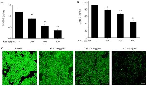 Salidroside Inhibits The Proliferation And Migration Of Gastric Cancer