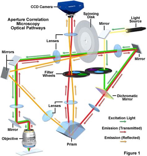 Zeiss Microscopy Online Campus Interactive Tutorials Zeiss Vivatome