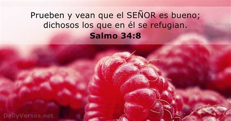 22 de mayo de 2022 Versículo de la Biblia del día Salmo 34 8