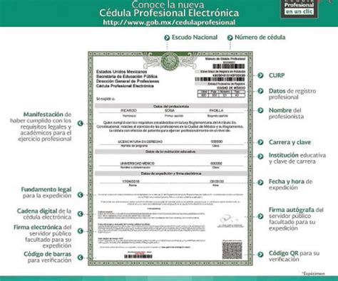 Presenta La Sep Nueva C Dula Profesional Electr Nica Tuir N Destaca