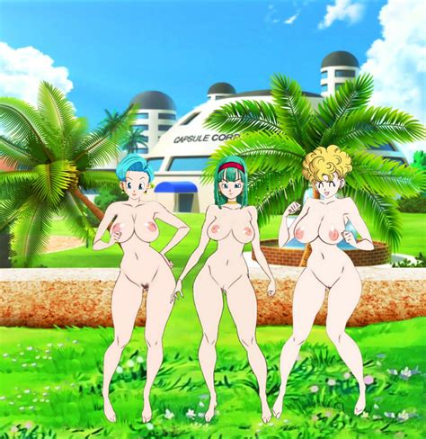 Post 2298165 Brabriefs Bulmabriefs Dragonballseries Dragonballgt Edit Panchybriefs