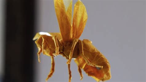 Origami Wasp 2 6 Tutorial Satoshi Kamiya Part 3 4 Full Collapsing