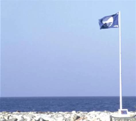 Significado Del Color De Las Banderas En La Playa Restaurante Beluga