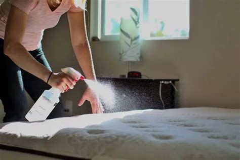 Comment Laver Son Matelas En Profondeur Comme Un Pro Nos 4 Astuces De