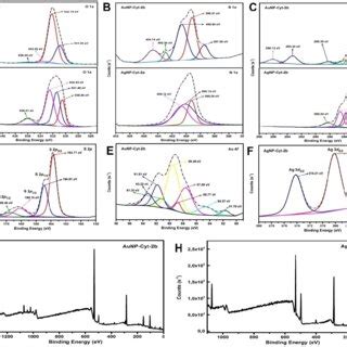 High Resolution X Ray Photoelectron Spectroscopy Xps Spectra Of