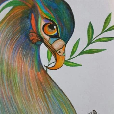 Arriba más de 77 dibujos a lapiz y color mejor camera edu vn