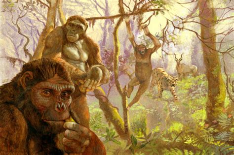At Sci News Human Bipedalism May Have Evolved In Trees Study Says