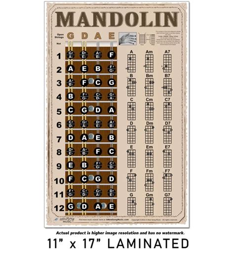 Snapklik Laminated Mandolin Americana Style Easy Chord