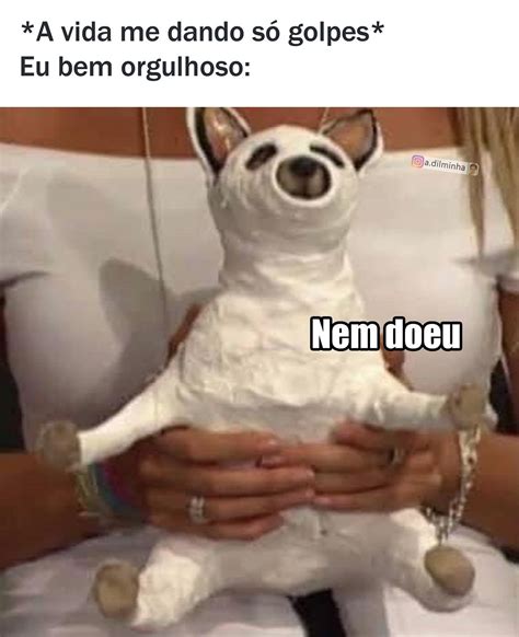 A vida me dando só golpes Eu bem orgulhoso Nem doeu Memes