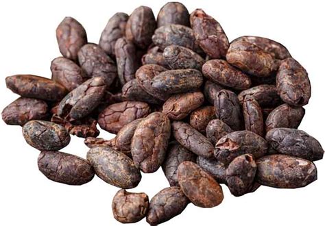 Cocoa Beans Plantation Health Benefits Facts Science4Fun
