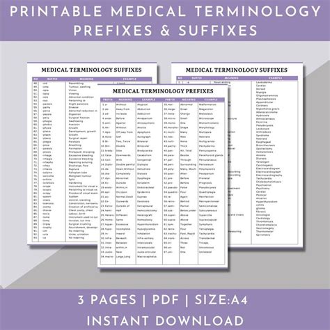 Medical Terminology Flashcards Medical Terminology Prefixes And