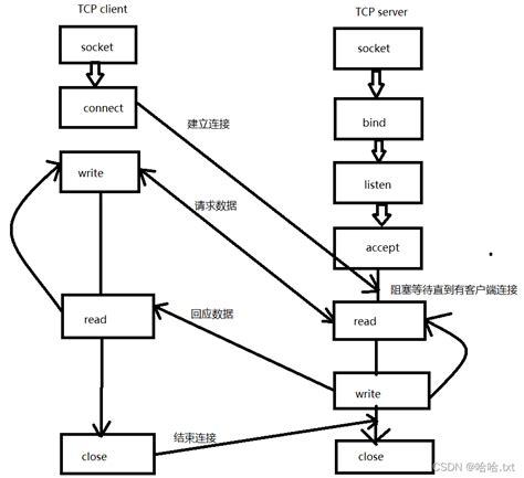 linux网络编程【socket编程】 linux 网络编程 socket addr csdn博客