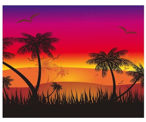 Un Coucher De Soleil Avec Des Palmiers Et Un Coucher De Soleil En