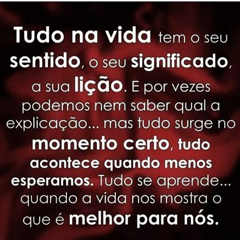 Tudo Na Vida Tem O Sentido O Seu Significado A Sua Li O E Por Vezes