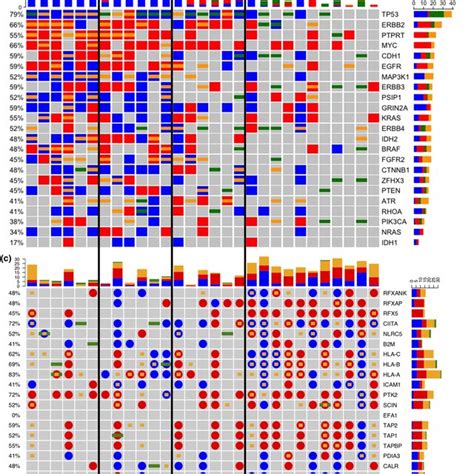 Mutational Analysis A Tumor Mutational Burden TMB Was Calculated