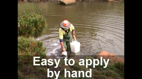 Fix A Leaking Dam Or Pond Dam Pond Sealer Youtube
