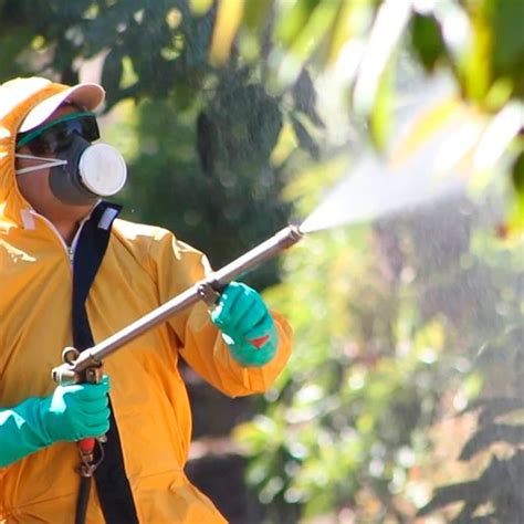 Curso Uso y Manejo de Plaguicidas Agrícolas CH C Capacitaciones