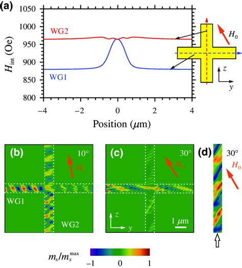 a calculated spatial profiles of the internal static magnetic field download scientific