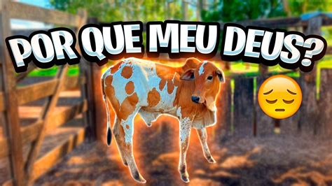 NÃO ACREDITO QUE ACONTECEU ISSO YouTube