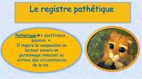 Le Registre Path Tique R Gional Youtube