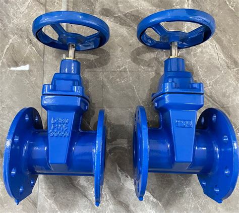 Di Ductile Iron Wcb Stainless Steel DIN F4 Resilient Seated Non Rising