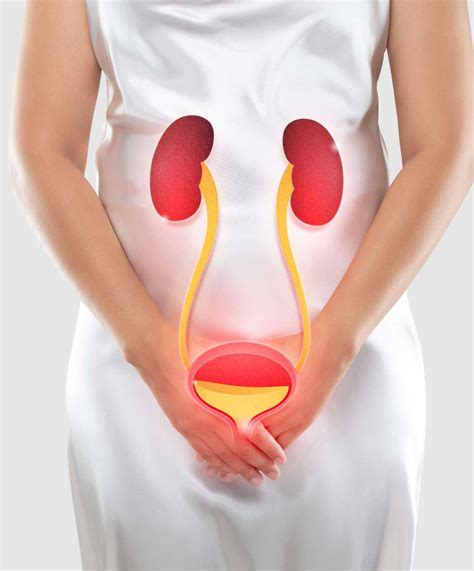4 Tips para aliviarlas infecciones del tracto urinario DIARIO ROATÁN