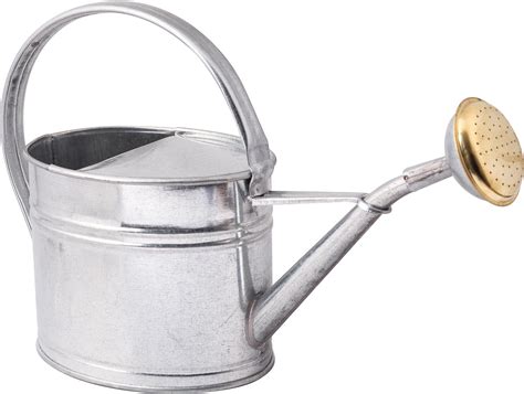 Arrosoir en acier galvanisé avec pomme 1 75 litres naturel